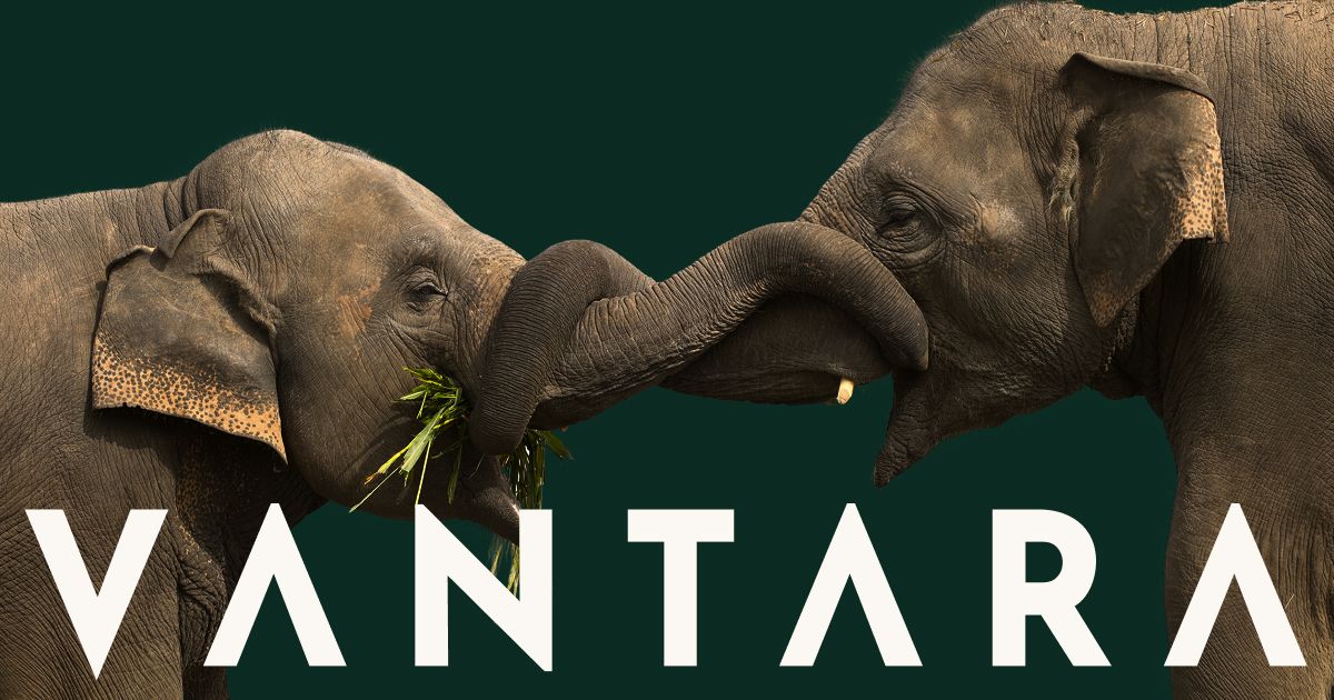 Vantara | Leading Global Wildlife Rescue, Rehabilitation, and Conservation